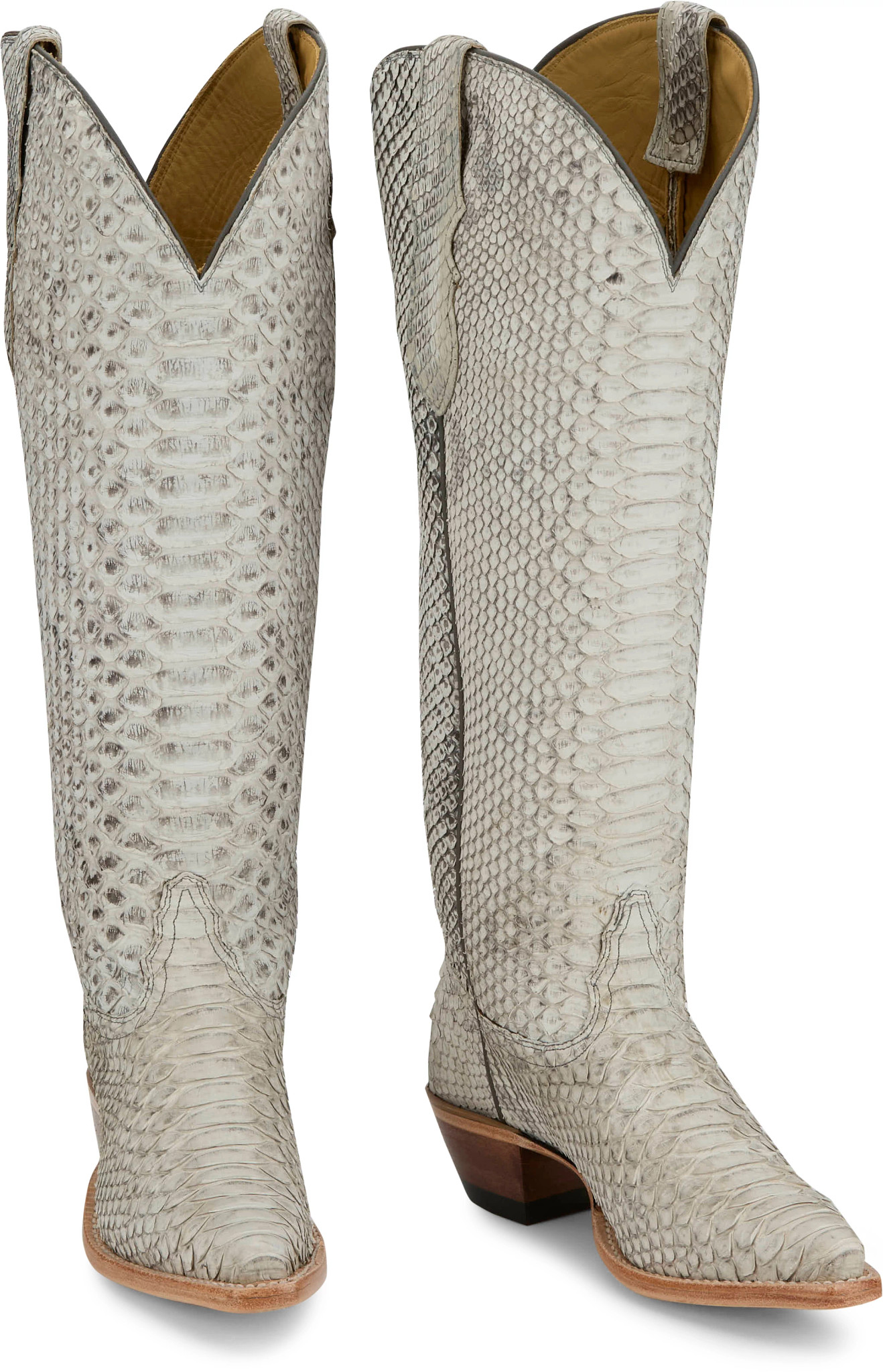 Vibora 17" Python | Tony Lama