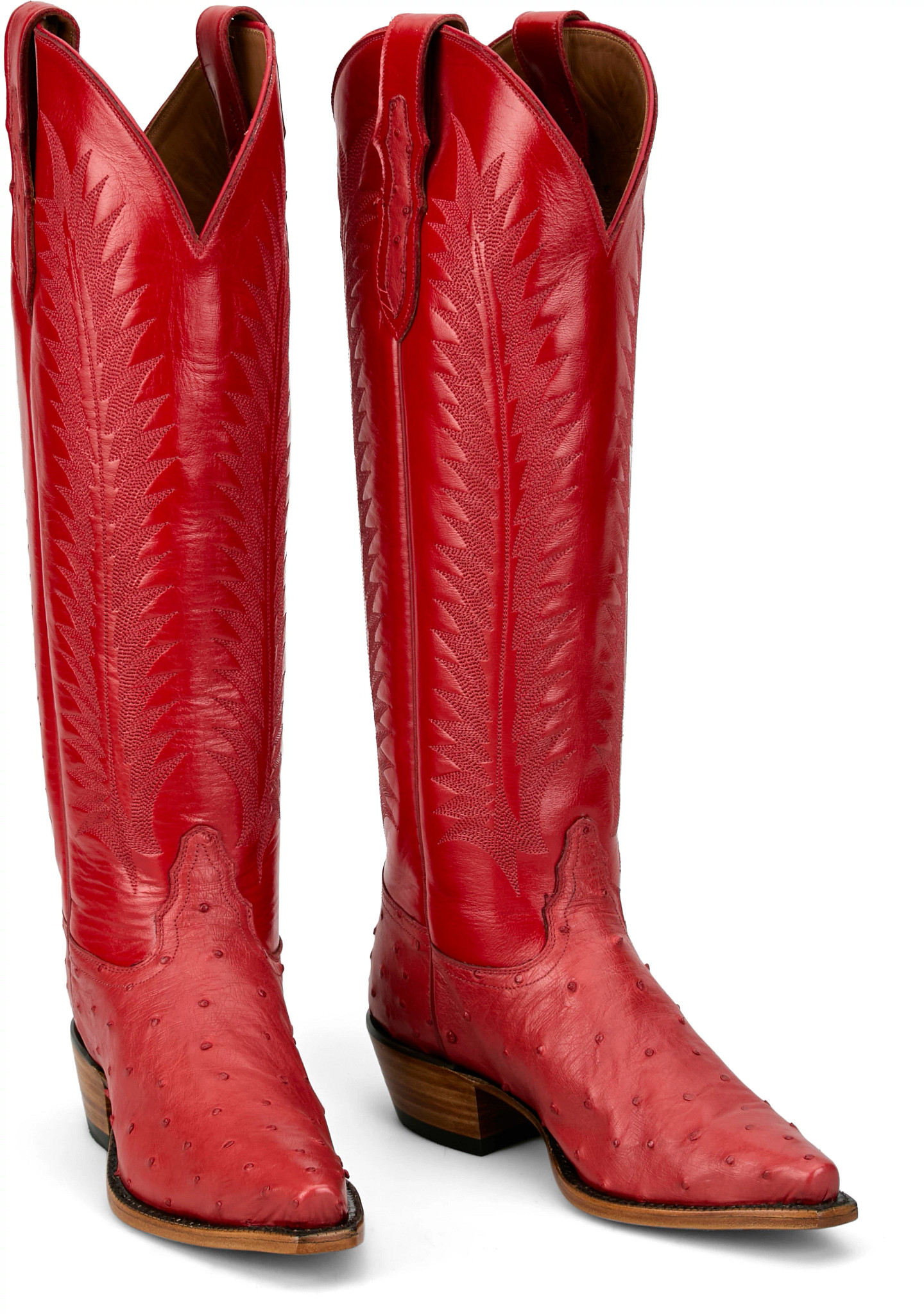 Carolina 17" Full Quill Ostrich | Tony Lama