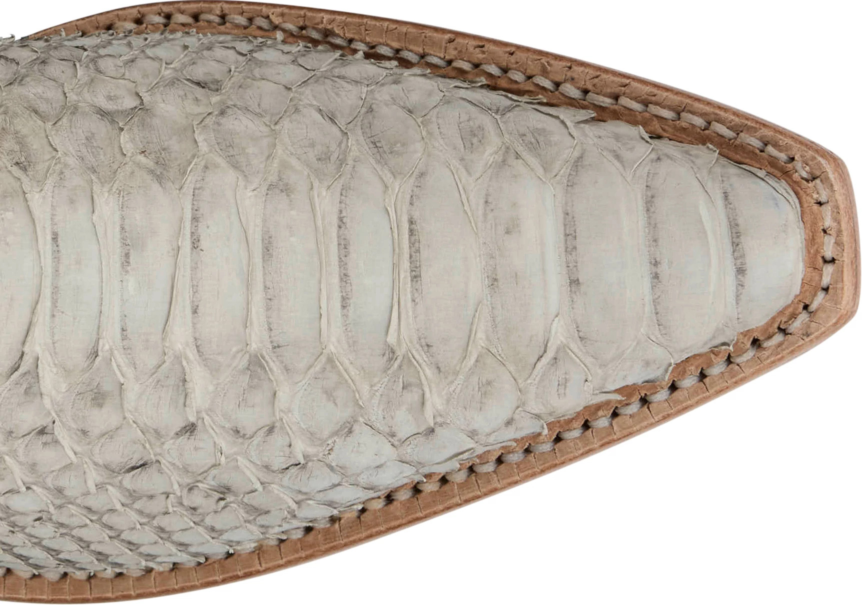 Vibora 17" Python | Tony Lama