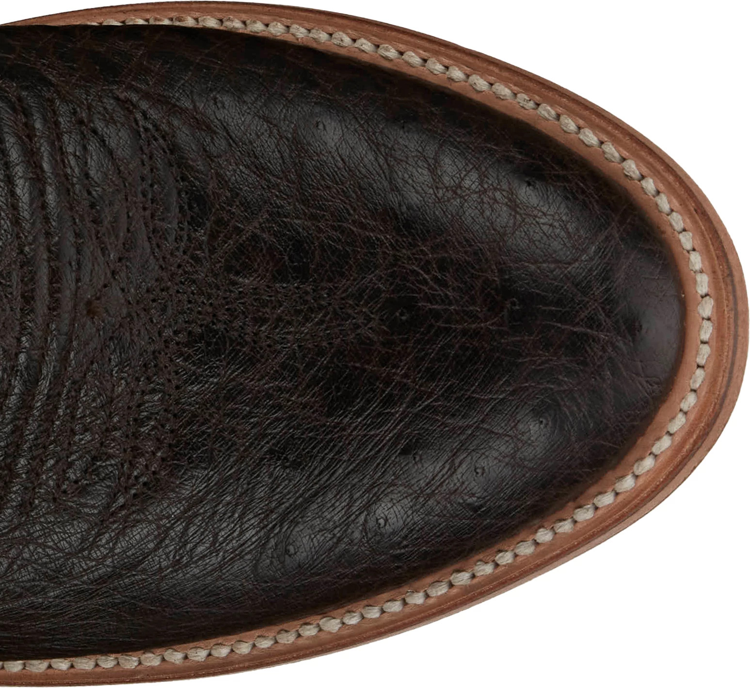 Roy 13" Smooth Ostrich | Tony Lama