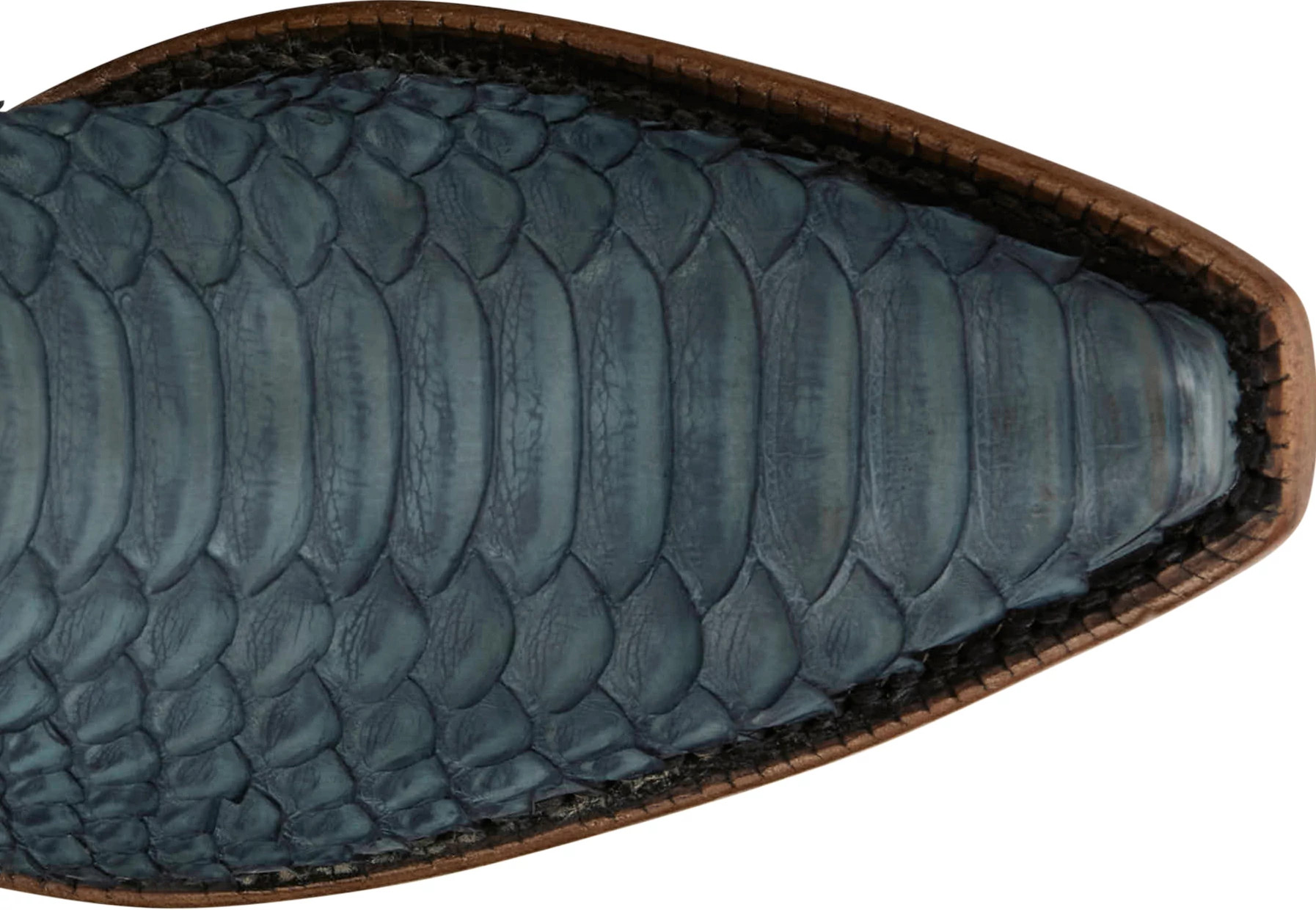 Vibora 17" Python | Tony Lama