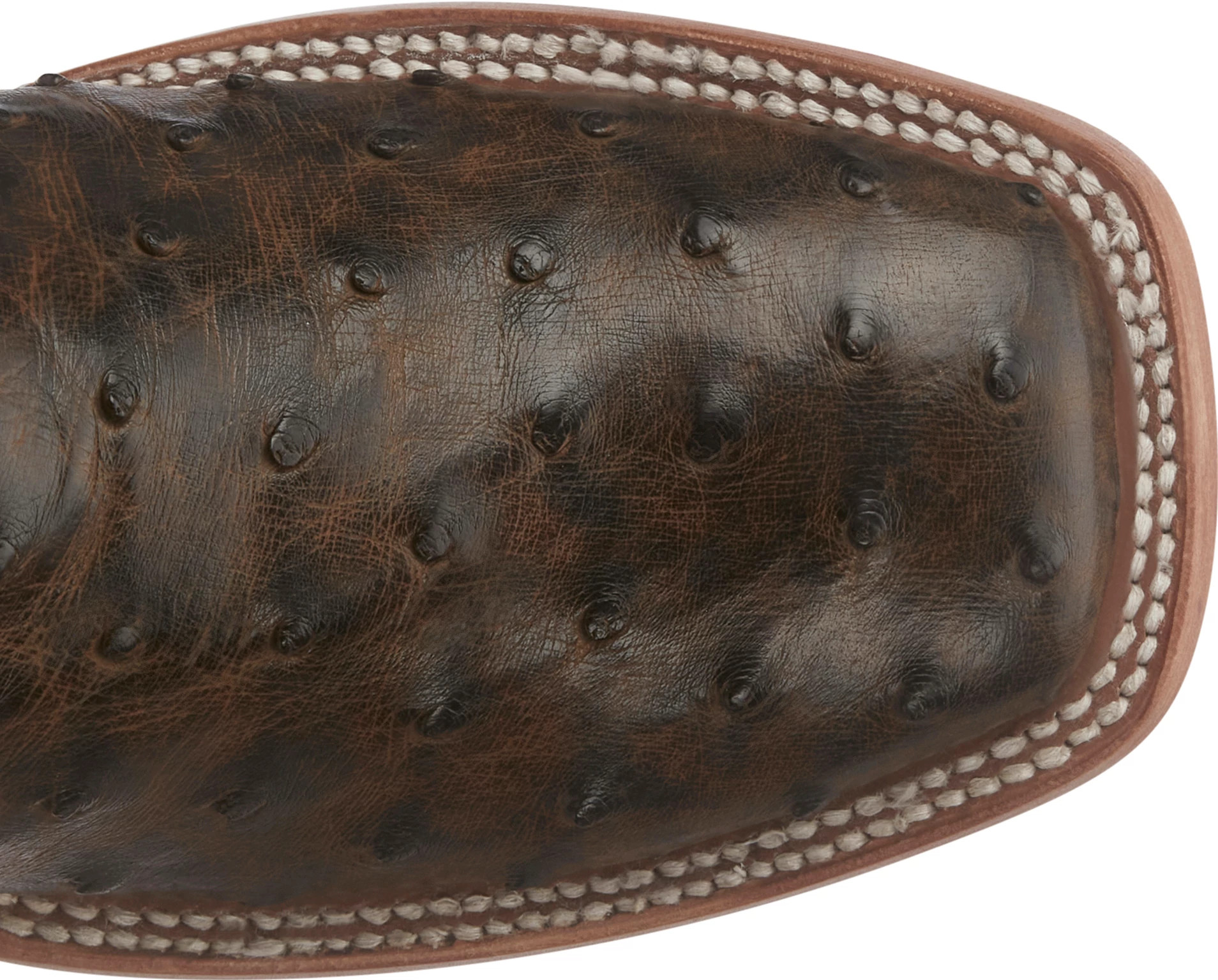 Tori 11" Full Quill Ostrich | Tony Lama