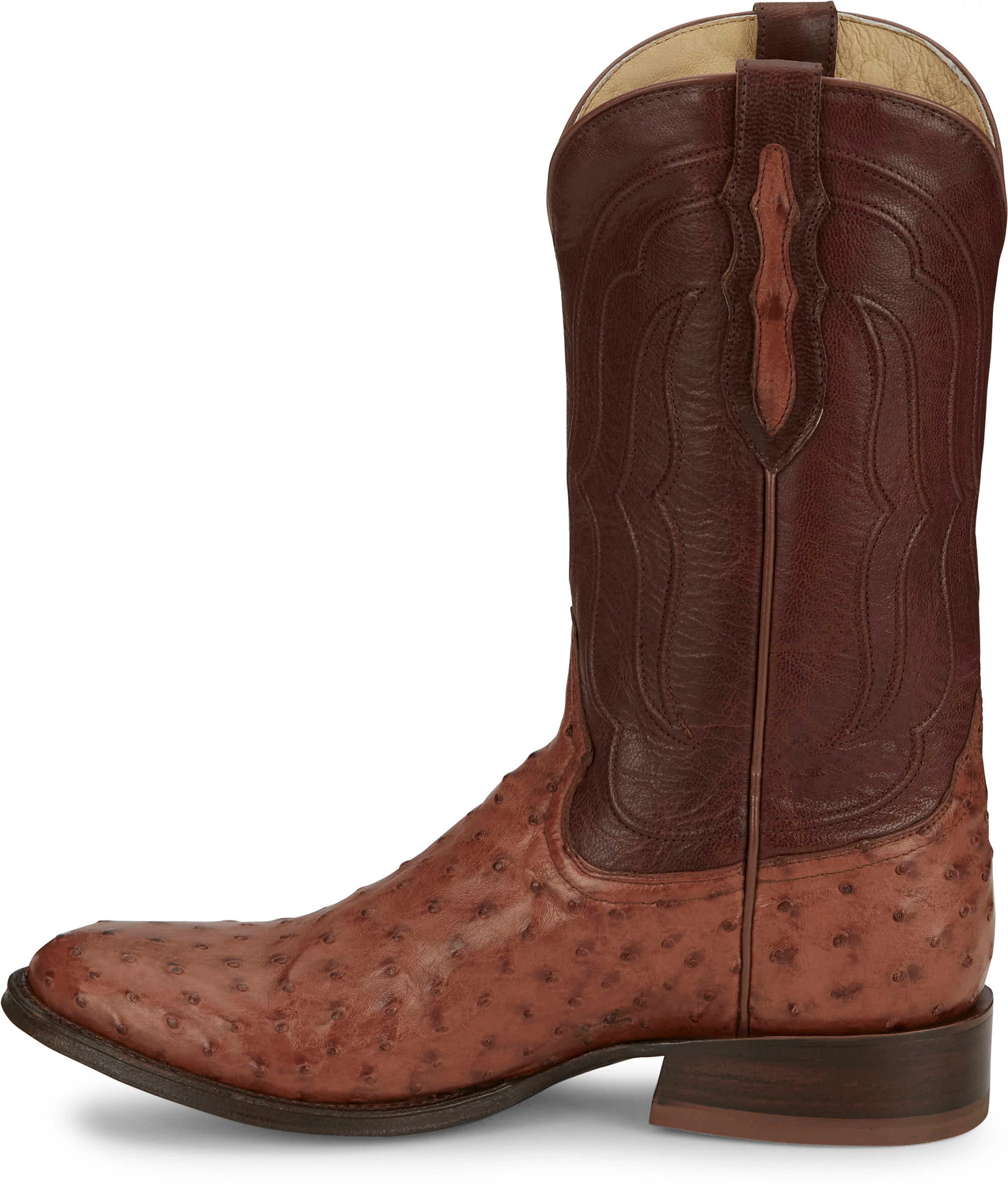 Canonero 12" Full Quill Ostrich | Tony Lama